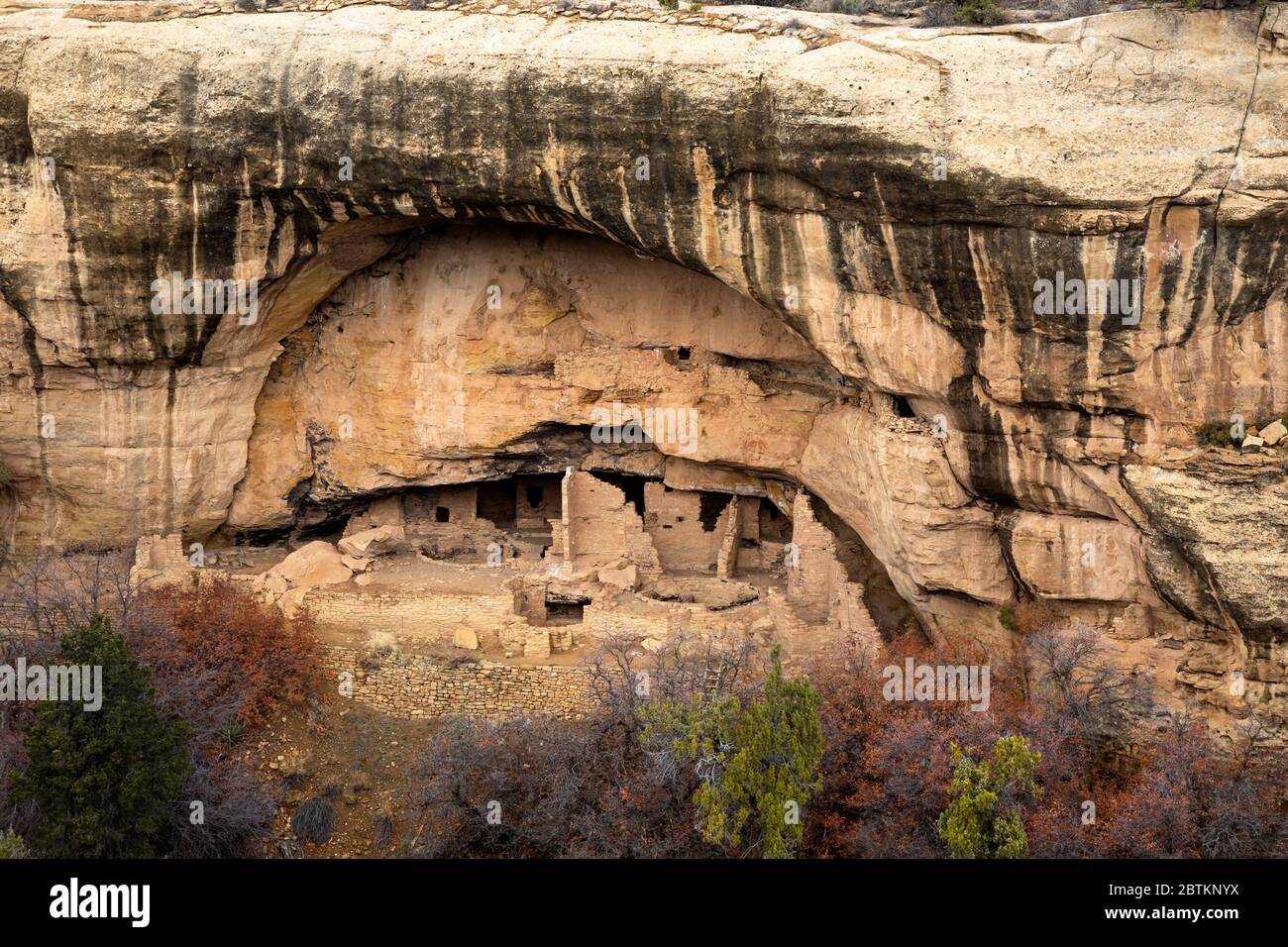 CO00253-00...COLORADO - Oak Tree House, built by the Ancestral ...