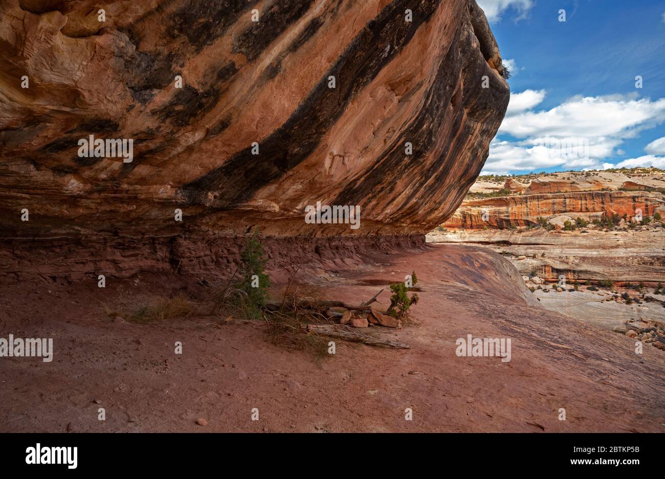 UT00641-00...UTAH - A ledge for visitors to walk to a view point ...