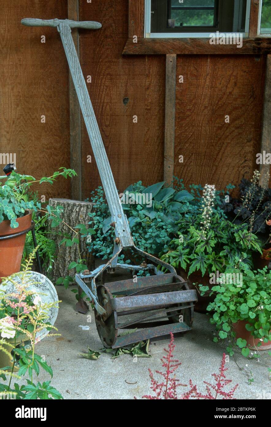 Push mower hi-res stock photography and images - Alamy