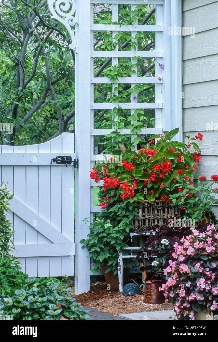 Gate and trellis hi-res stock photography and images - Alamy