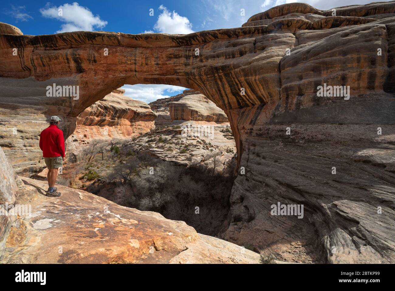 UT00647-00...UTAH - Hiker viewing the Sipapu Bridge in Natural Bridges ...