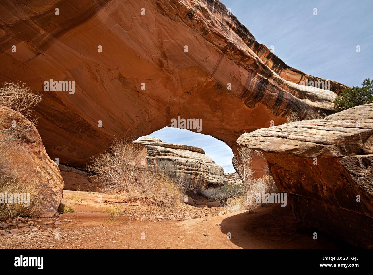 UT00661-00...UTAH - Kachina Bridge in White Canyon of Natural Bridges ...