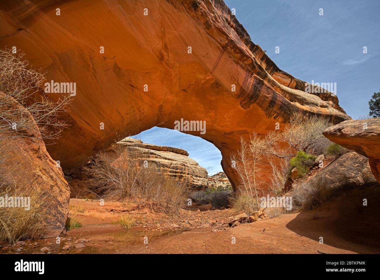 UT00663-00...UTAH - Kachina Bridge in White Canyon of Natural Bridges ...
