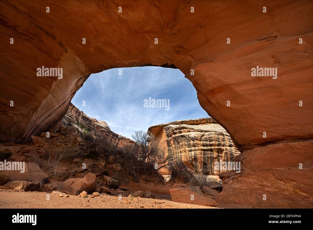 UT00664-00...UTAH - Kachina Bridge in White Canyon of Natural Bridges ...