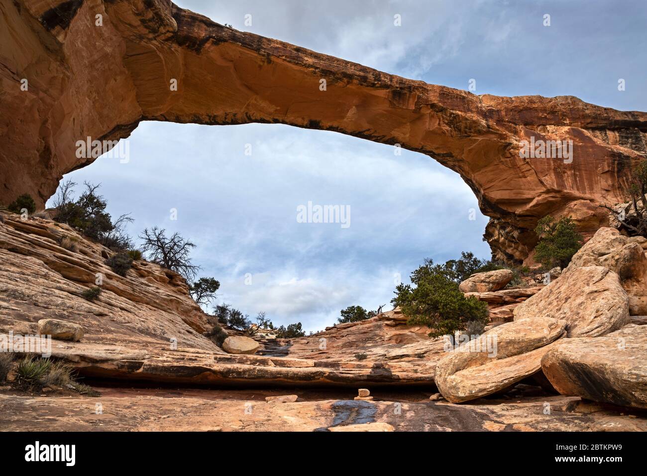 UT00670-00...UTAH - Owachomo Bridge in Natural Bridges National ...