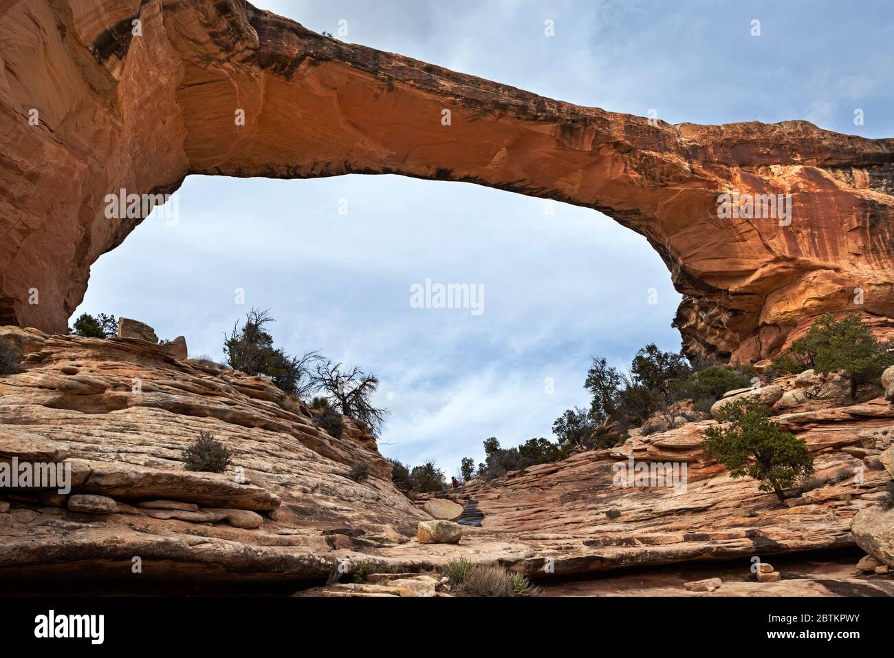 UT00671-00...UTAH - Owachomo Bridge in Natural Bridges National ...
