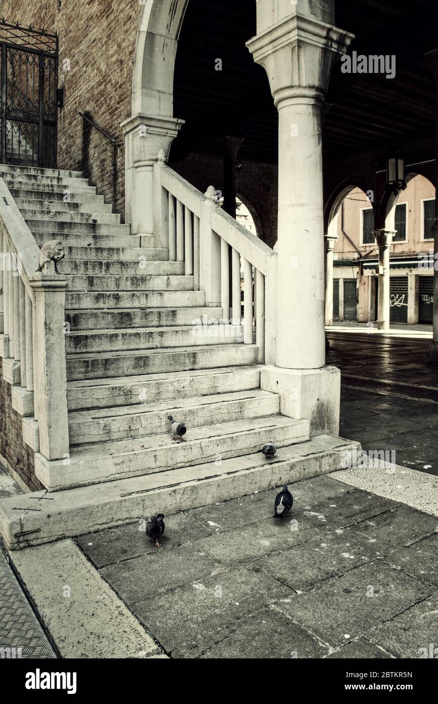 Stairs with Pigeons Stock Photo - Alamy