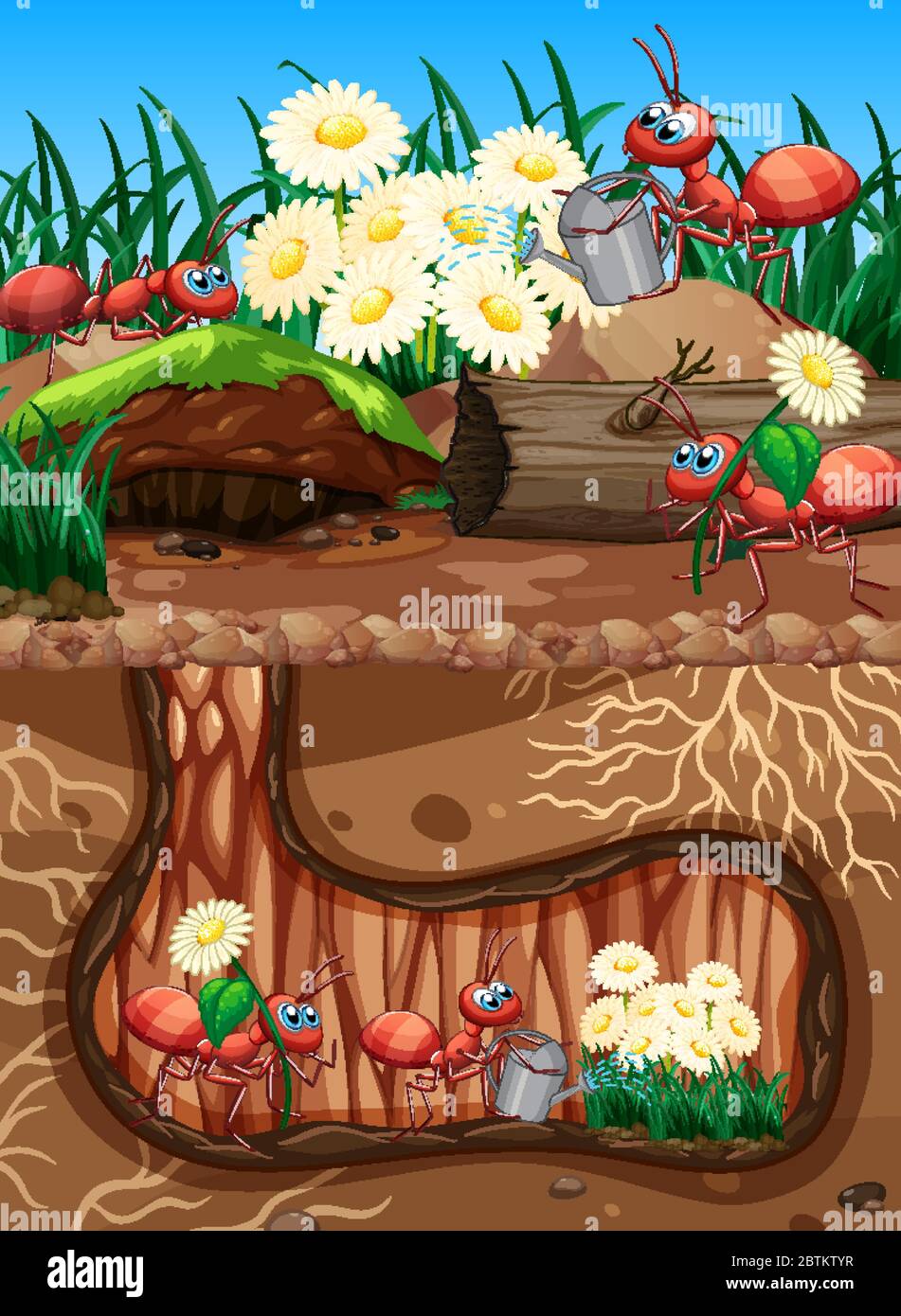 Scene with plants and insects in the garden illustration Stock Vector ...