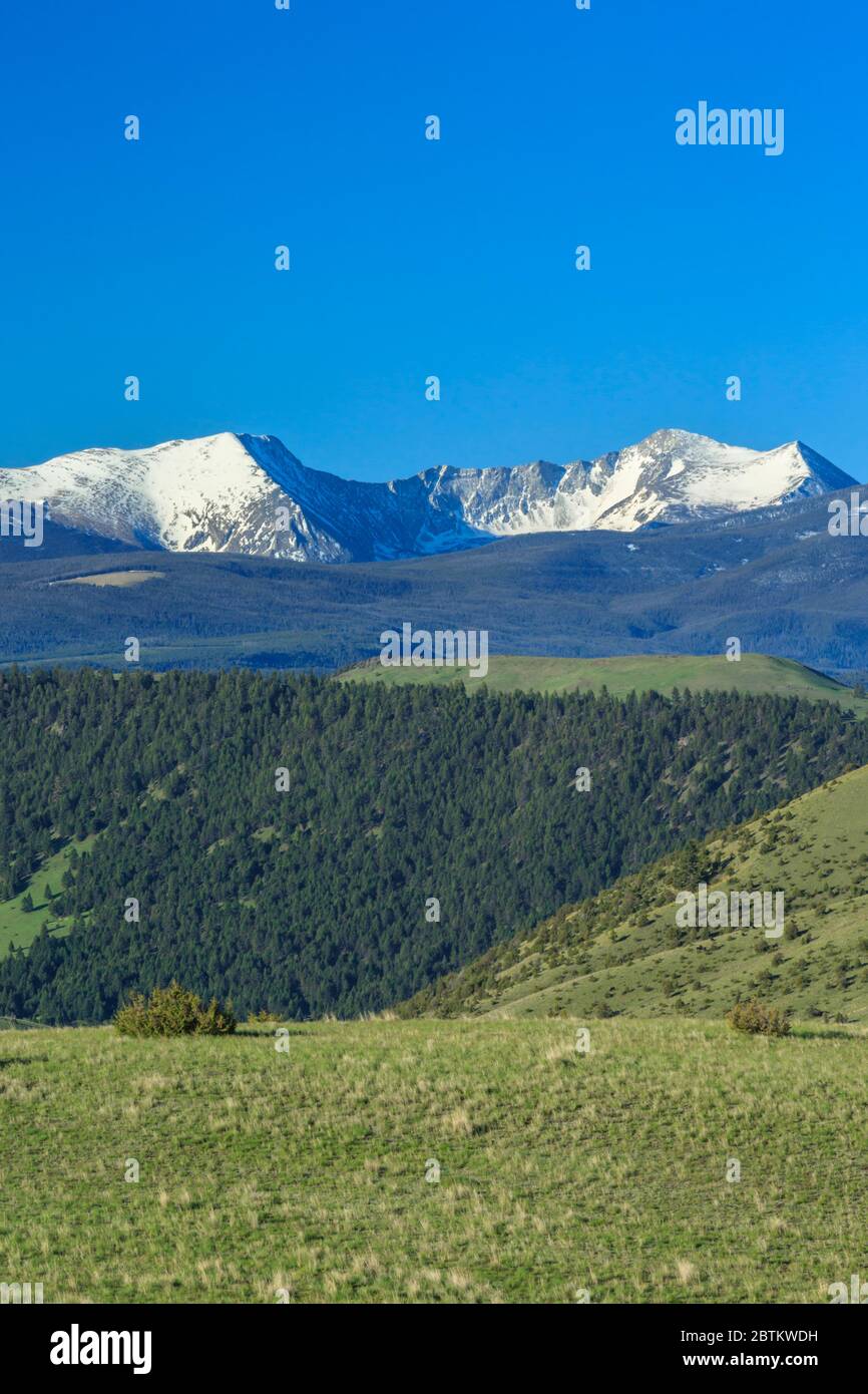 deer lodge mountain and mount powell in the flint creek range near deer ...