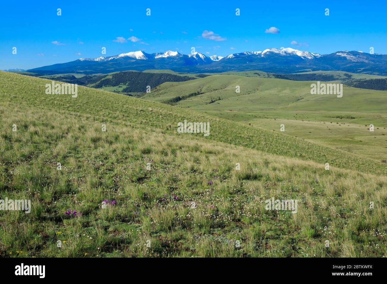 flint creek range and foothills near garrison, montana Stock Photo - Alamy
