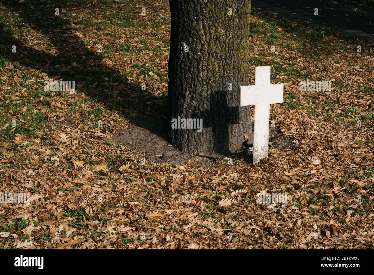 White cross under tree in autumn with autumn leaves Stock Photo - Alamy