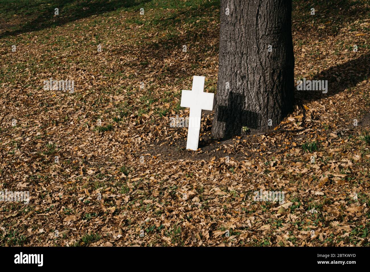 White cross under tree in autumn with autumn leaves Stock Photo - Alamy