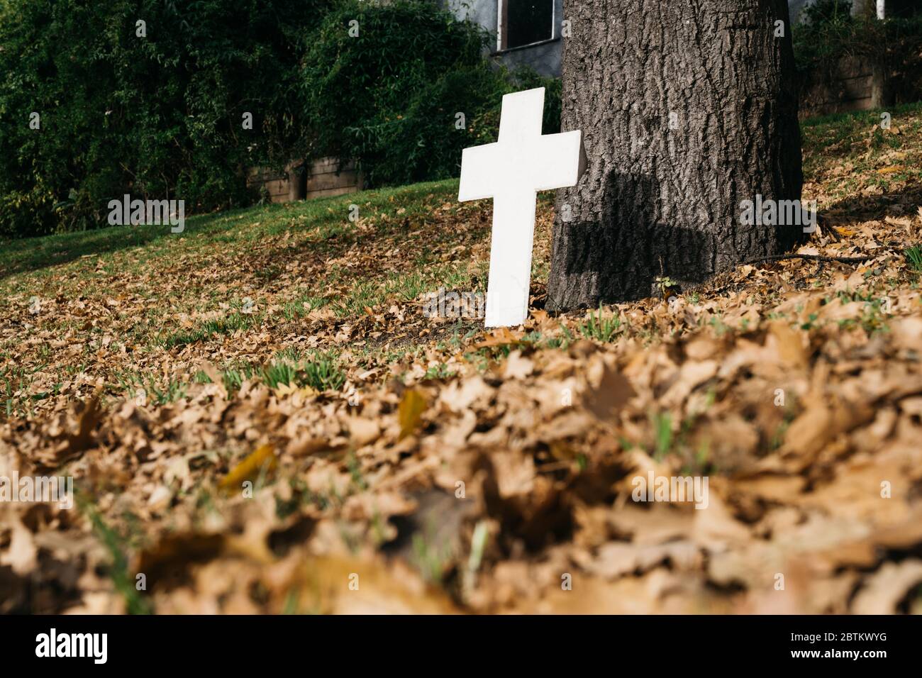 White cross under tree in autumn with autumn leaves Stock Photo - Alamy