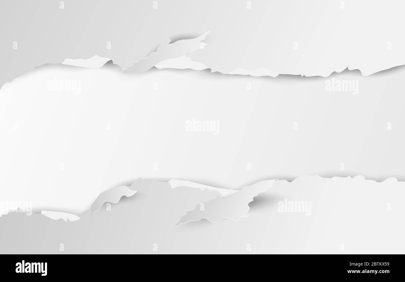 torn paper white background.Ripped and paper strips with soft light ...