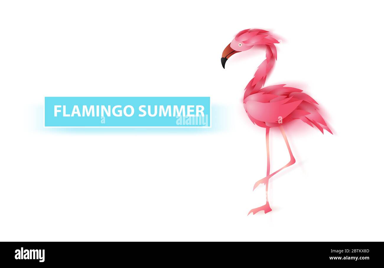 Pink flamingo flyer Stock Vector Images - Alamy