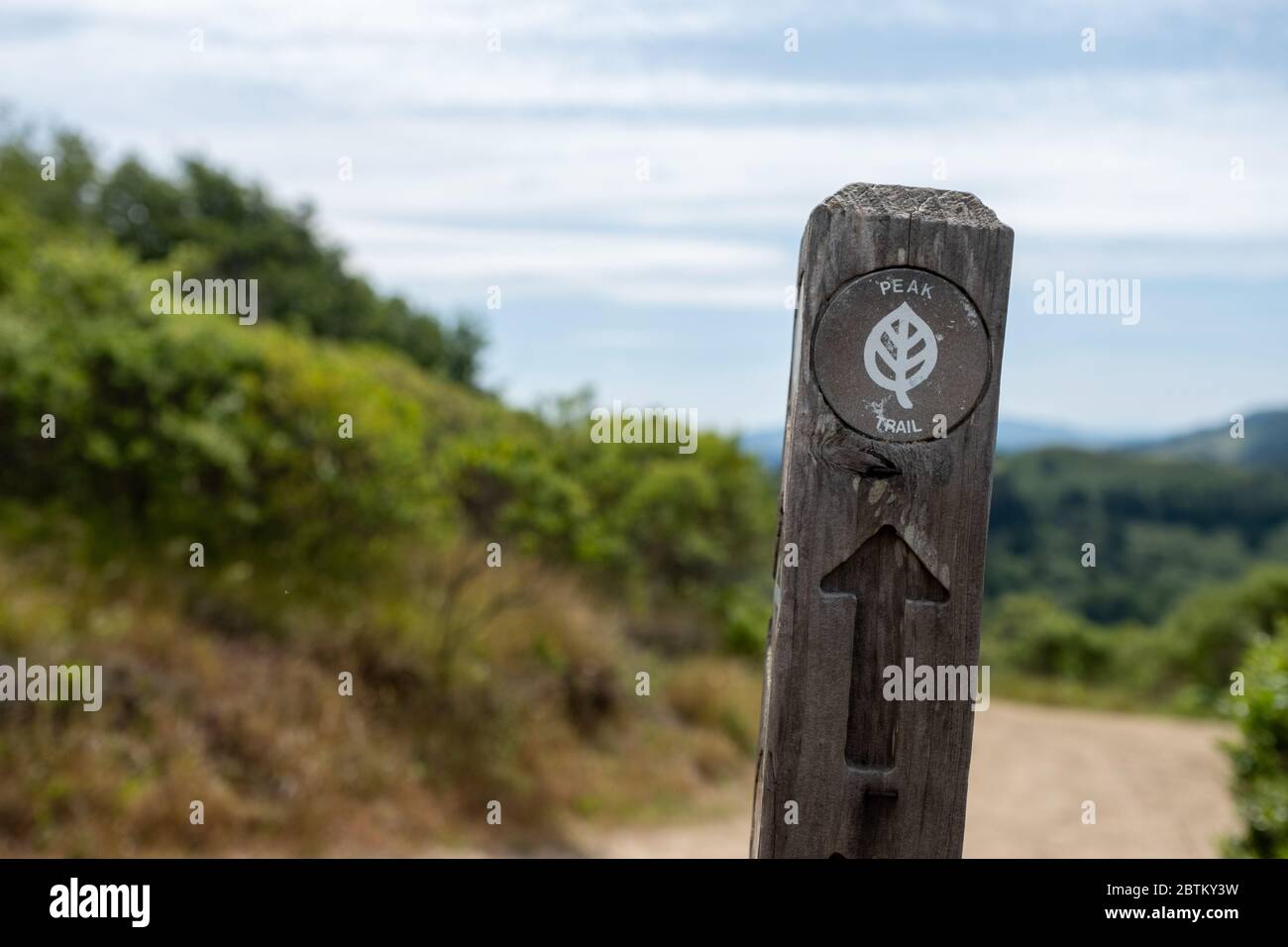 Peak Trail path - Fork in pathway - Hiking - signage - Marked - Oakland ...