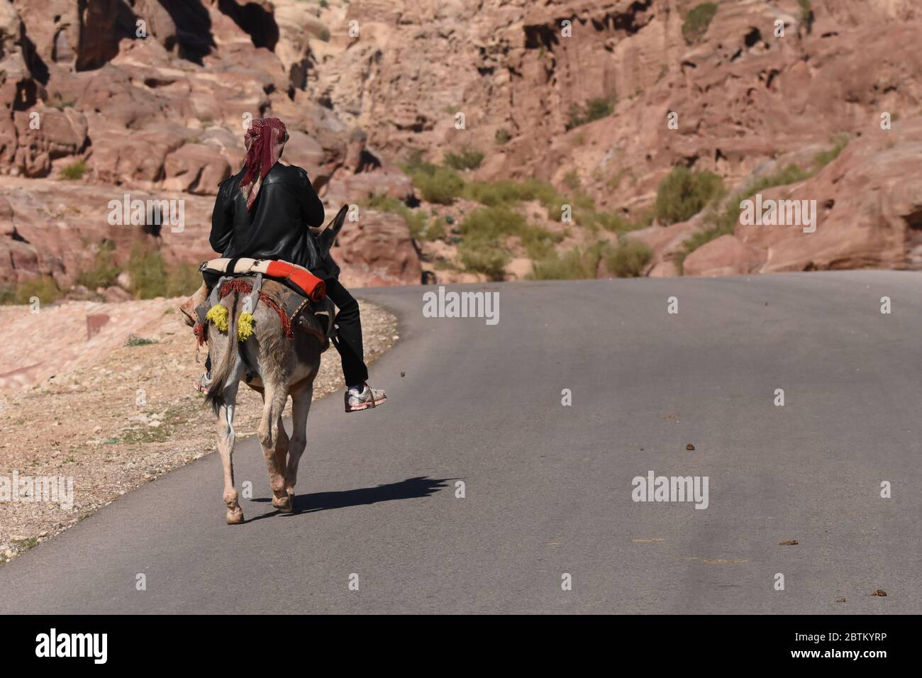 Donkeys working as transport and pack animals in Petra, Jordan ...