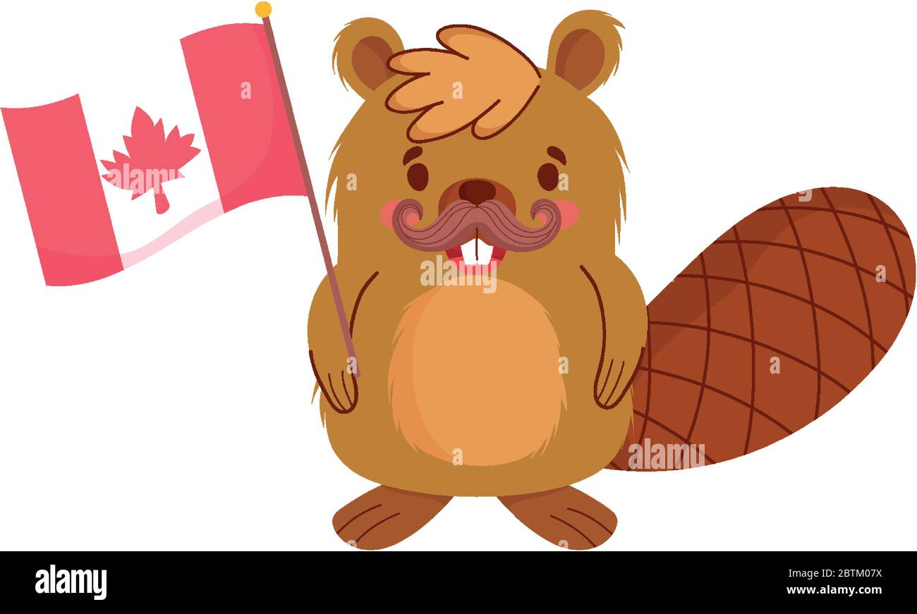 Beaver with canadian flag design, Happy canada day holiday and national ...