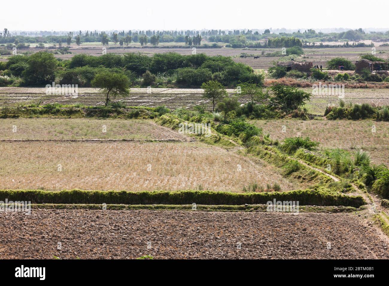 Agricultural fields at Makli, lower basin of Indus river, suburb of ...