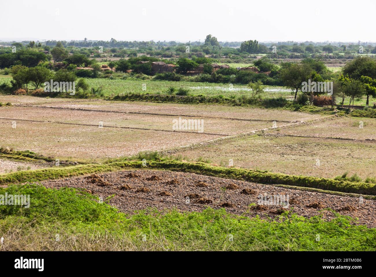 Agricultural fields at Makli, lower basin of Indus river, suburb of ...