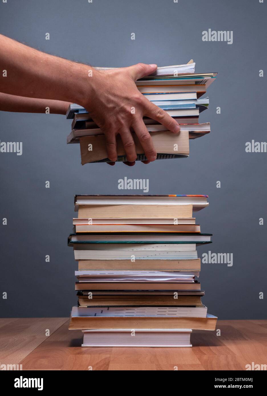 Brain size hi-res stock photography and images - Alamy