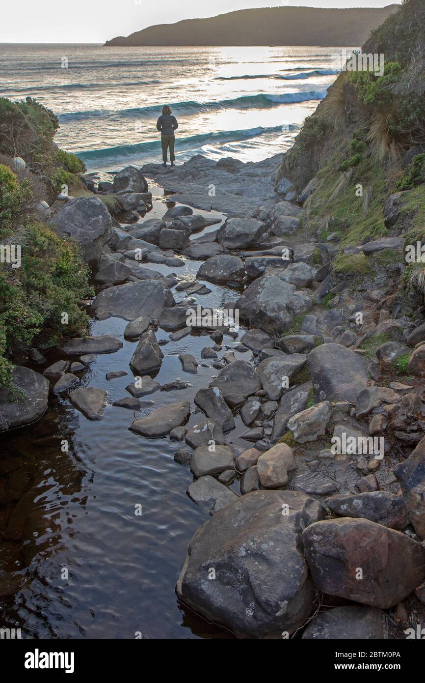 Australia south coast track trek hi-res stock photography and images ...
