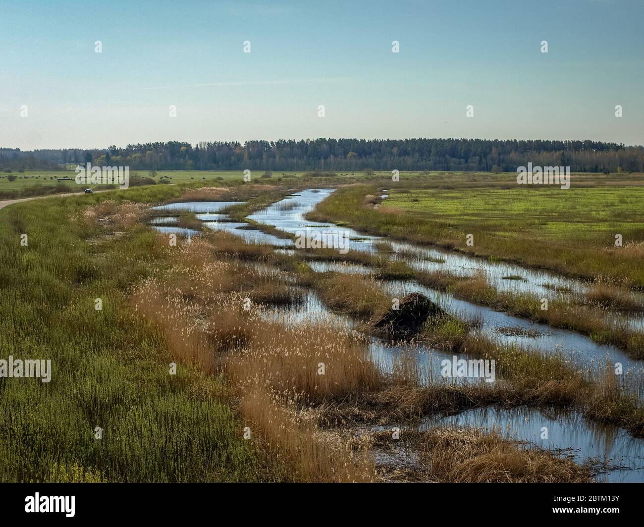 beaver house in the lake meadow, spring landscape Stock Photo - Alamy