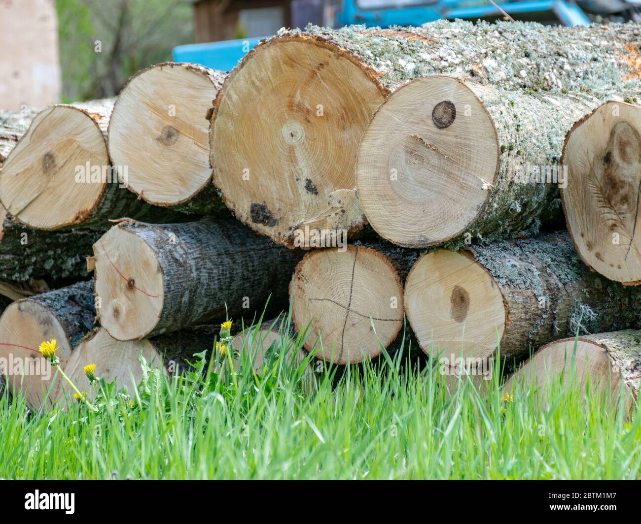picture with stack of sawn logs, wood pile reserve for the winter. Pile ...