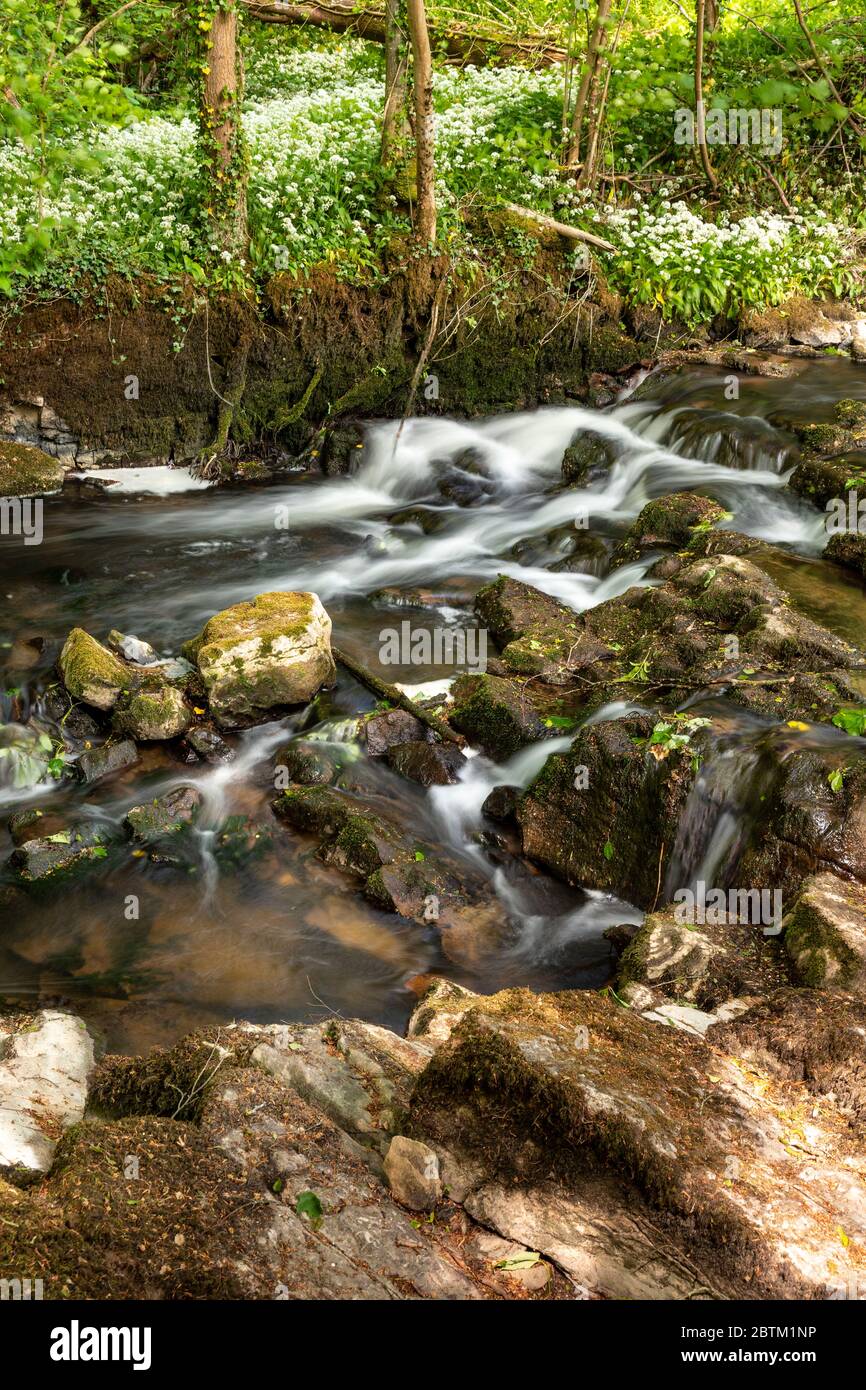 River Alyn High Resolution Stock Photography and Images - Alamy