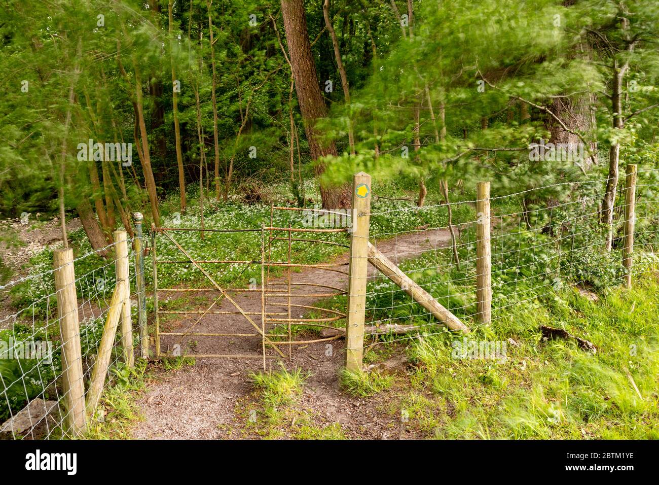 Kissing gate on path through woods Stock Photo - Alamy