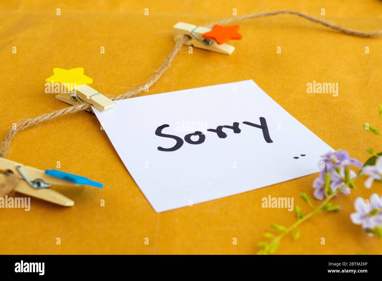 sorry message card handwriting with wooden star ,rope and purple ...
