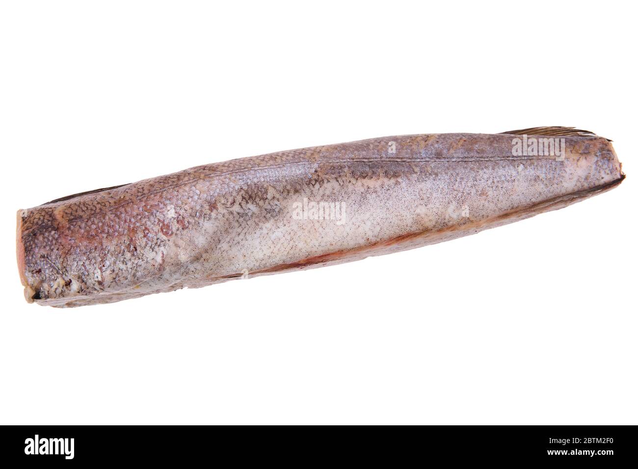 Raw hake isolated on white background Stock Photo - Alamy