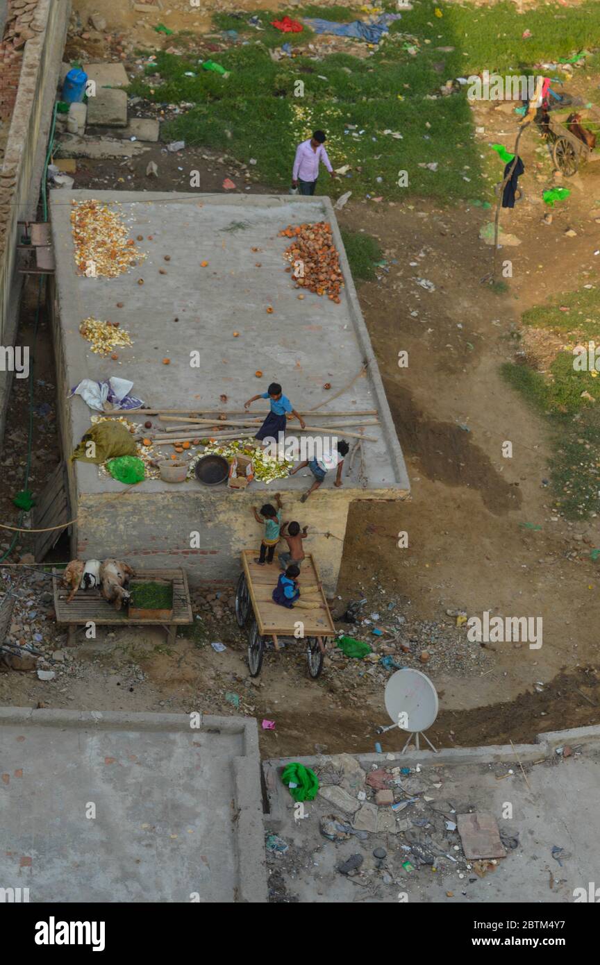 Village people with animals decided to live in polluted city with ...