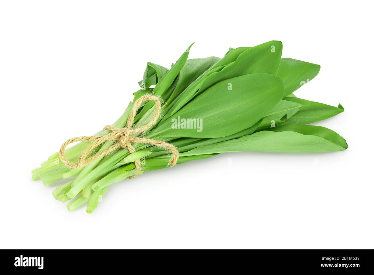 Ramson bunch vegetable isolated on white background with clipping path ...