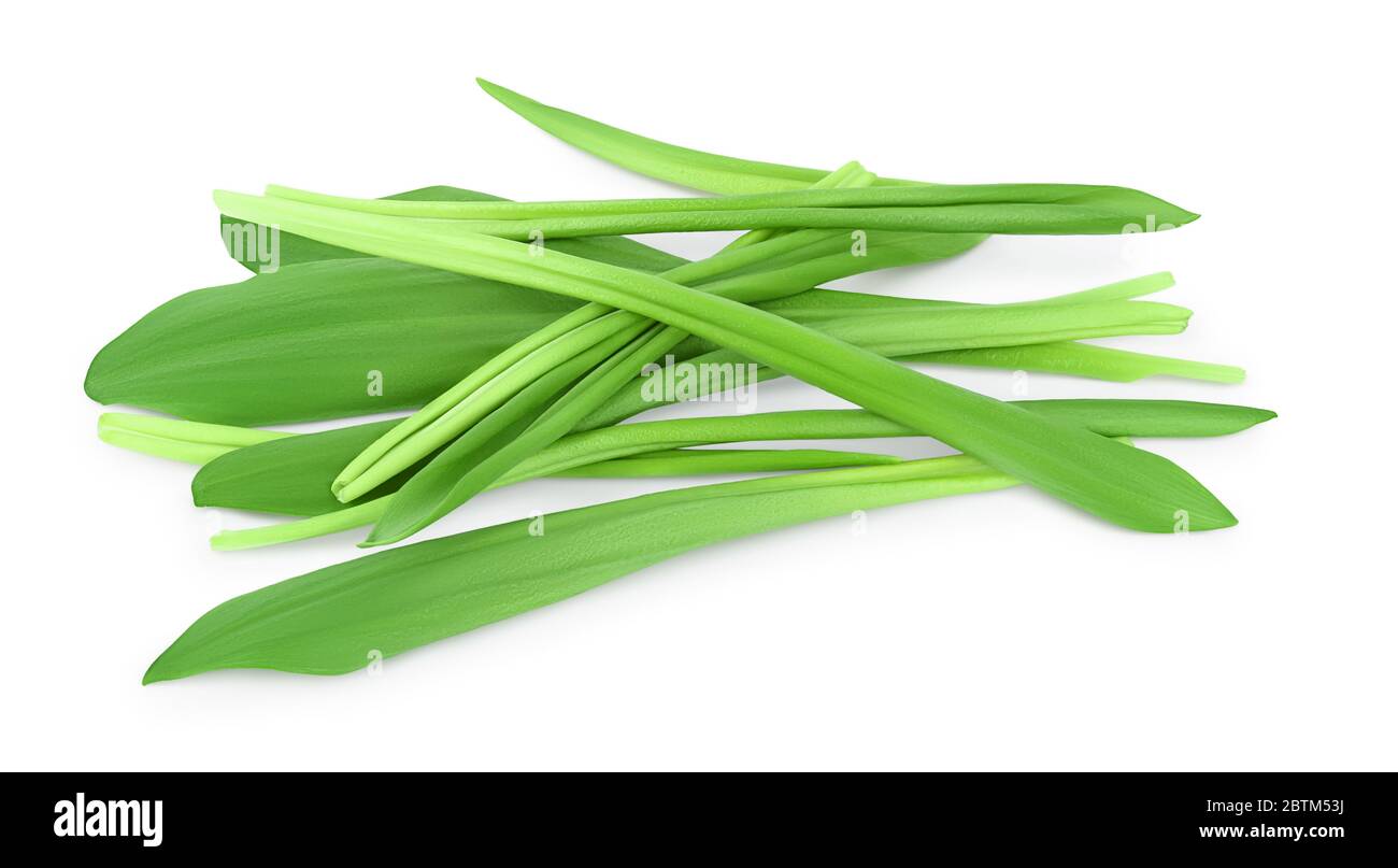 Ramson leaves isolated on white background with clipping path and full ...