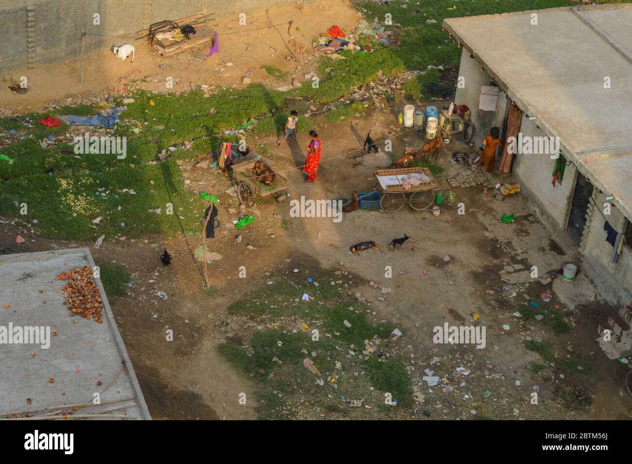 Village people with animals decided to live in polluted city with ...