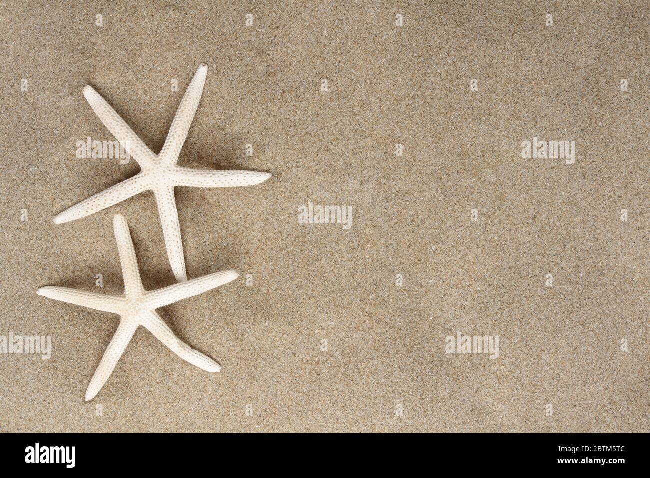 Star fish on sea sand hi-res stock photography and images - Alamy