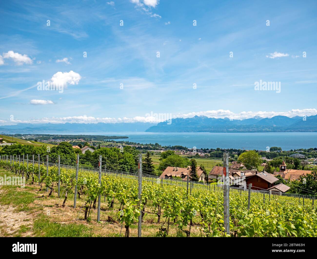 The lush green vineyards, villages and walking trails of the Swiss ...