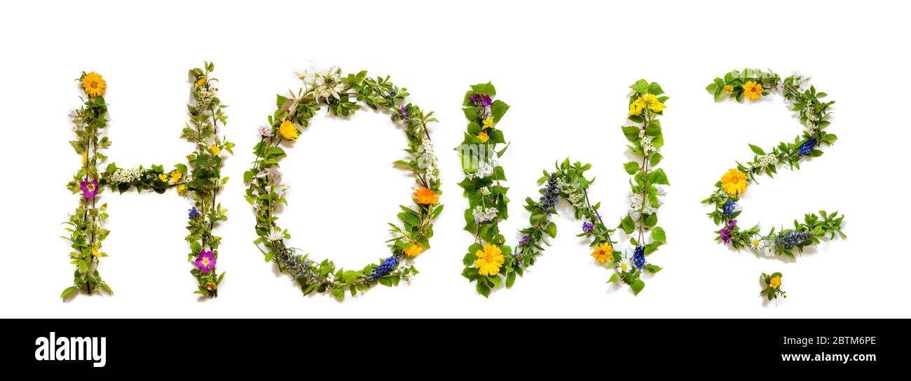 Flower And Blossom Letter Building Word How Stock Photo - Alamy