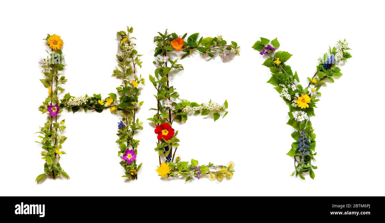 Flower And Blossom Letter Building Word Hey Stock Photo - Alamy