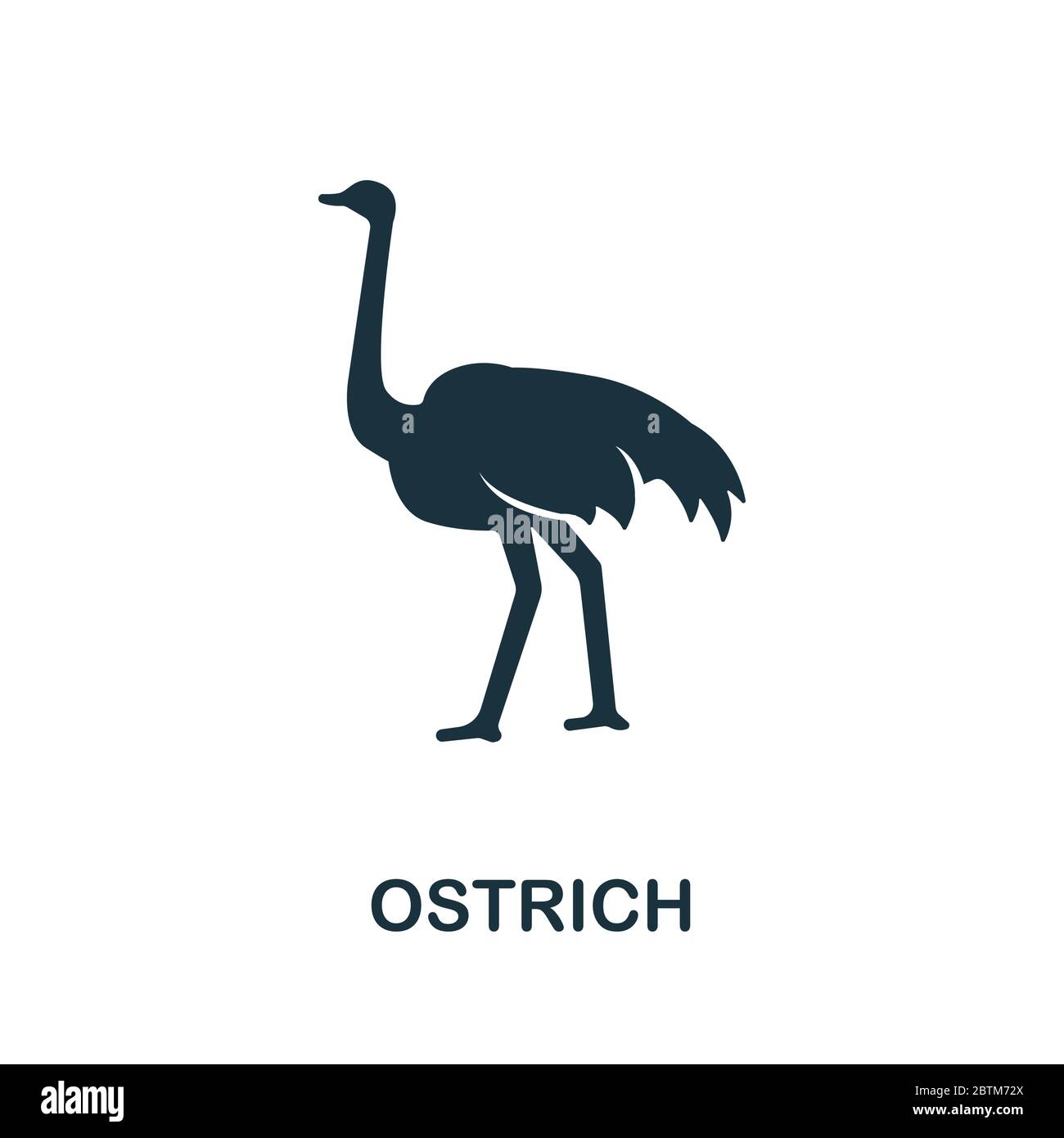 Ostrich icon from australia collection. Simple line Ostrich icon for ...