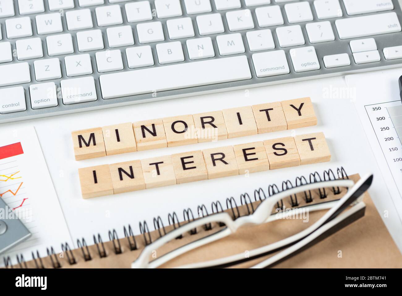 Minority Interest