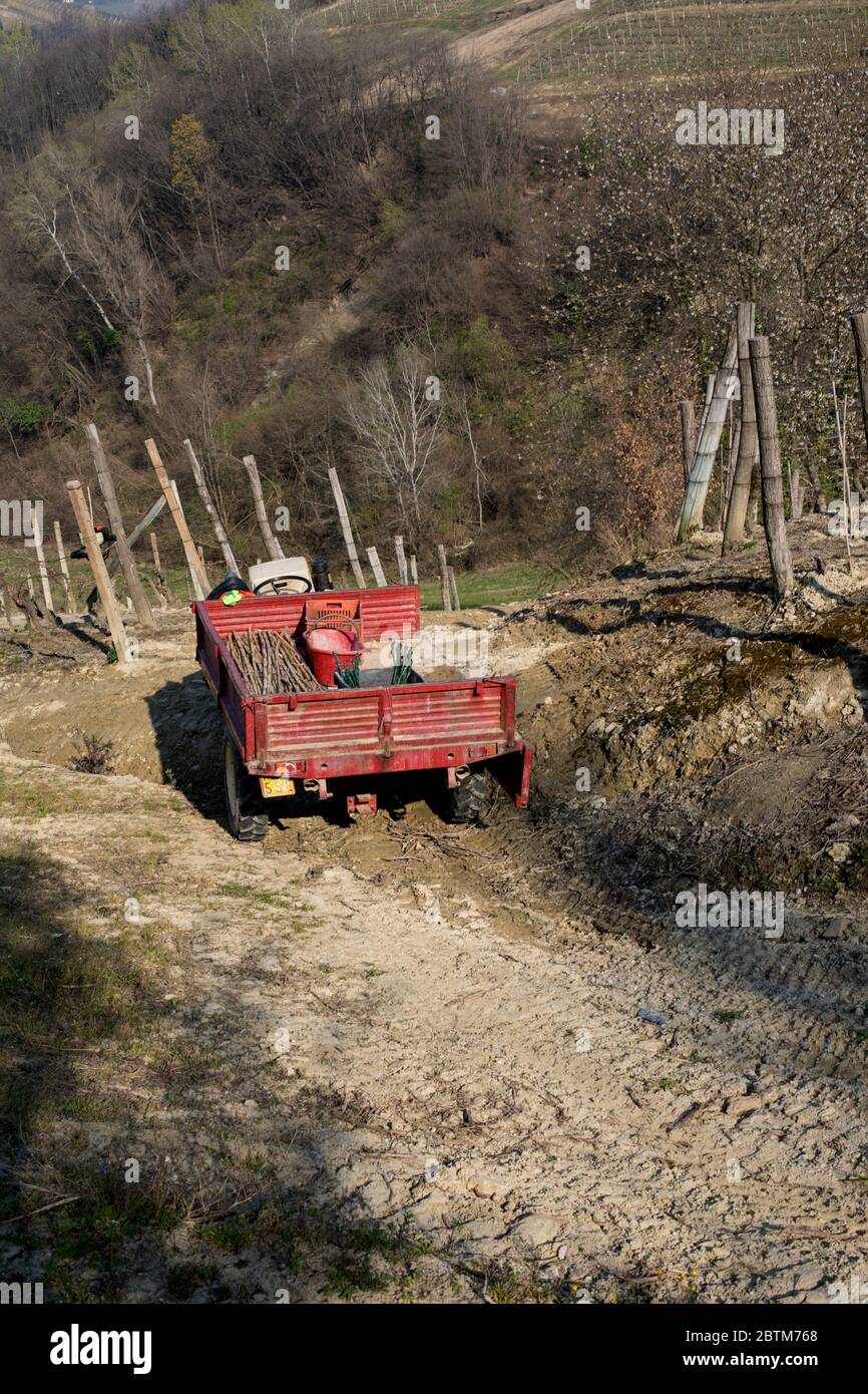 Farm wagon in the vineyards, Cassinasco, Langhe, Piedmont,Italy Stock ...
