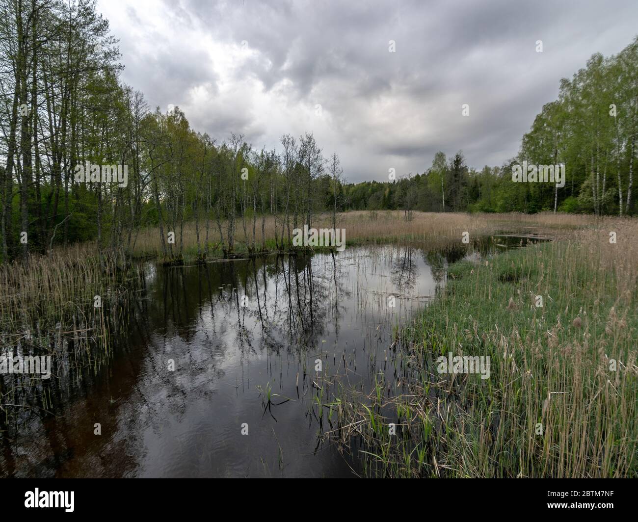 colorful spring landscape with beautiful sky, clouds and tree ...