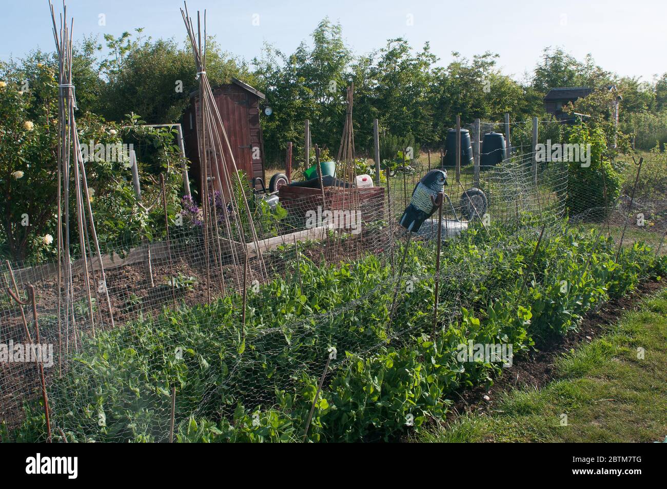 Baschurch hi-res stock photography and images - Alamy