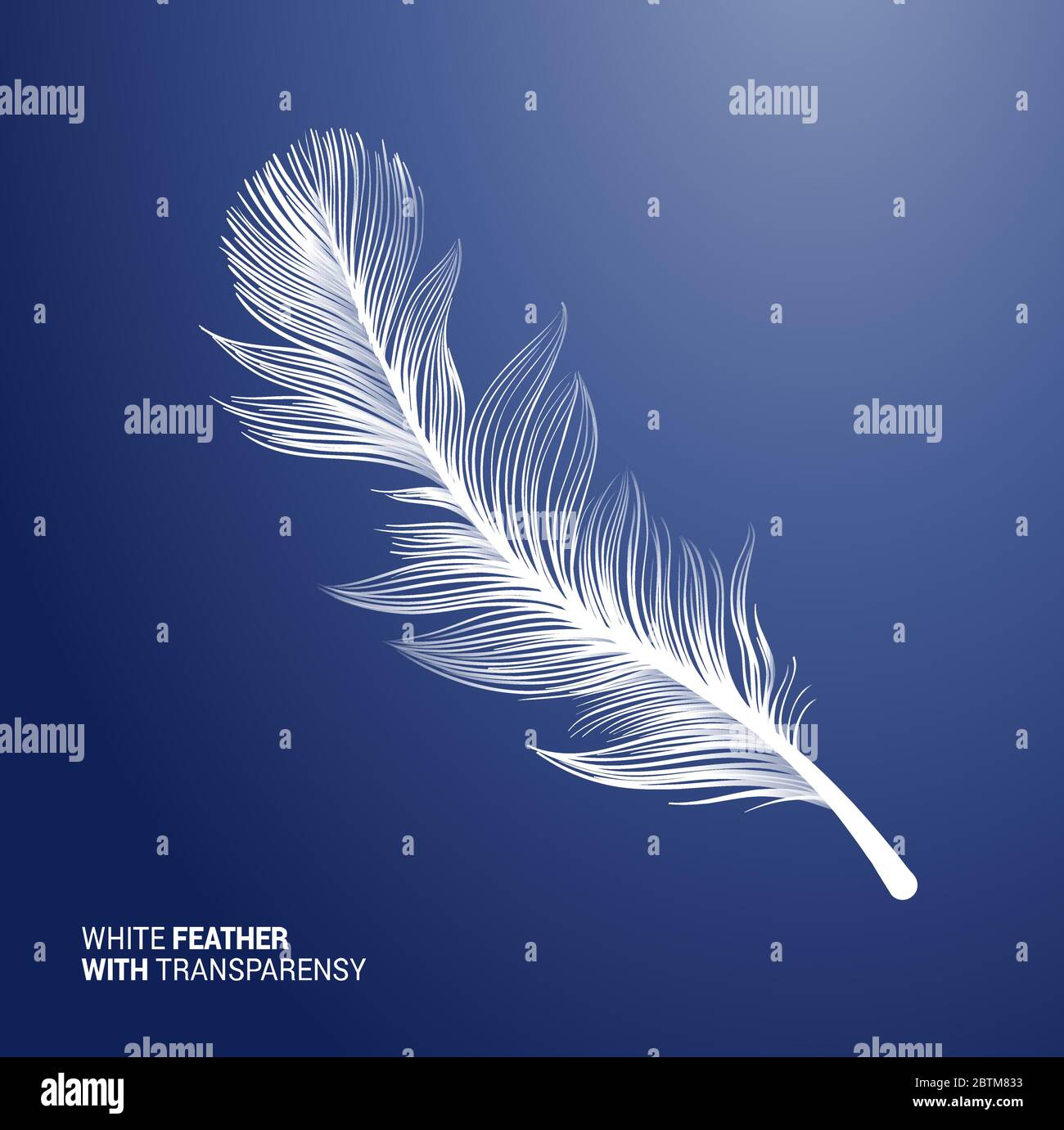 White fluffy feather, vector isolated realistic quill on blue ...