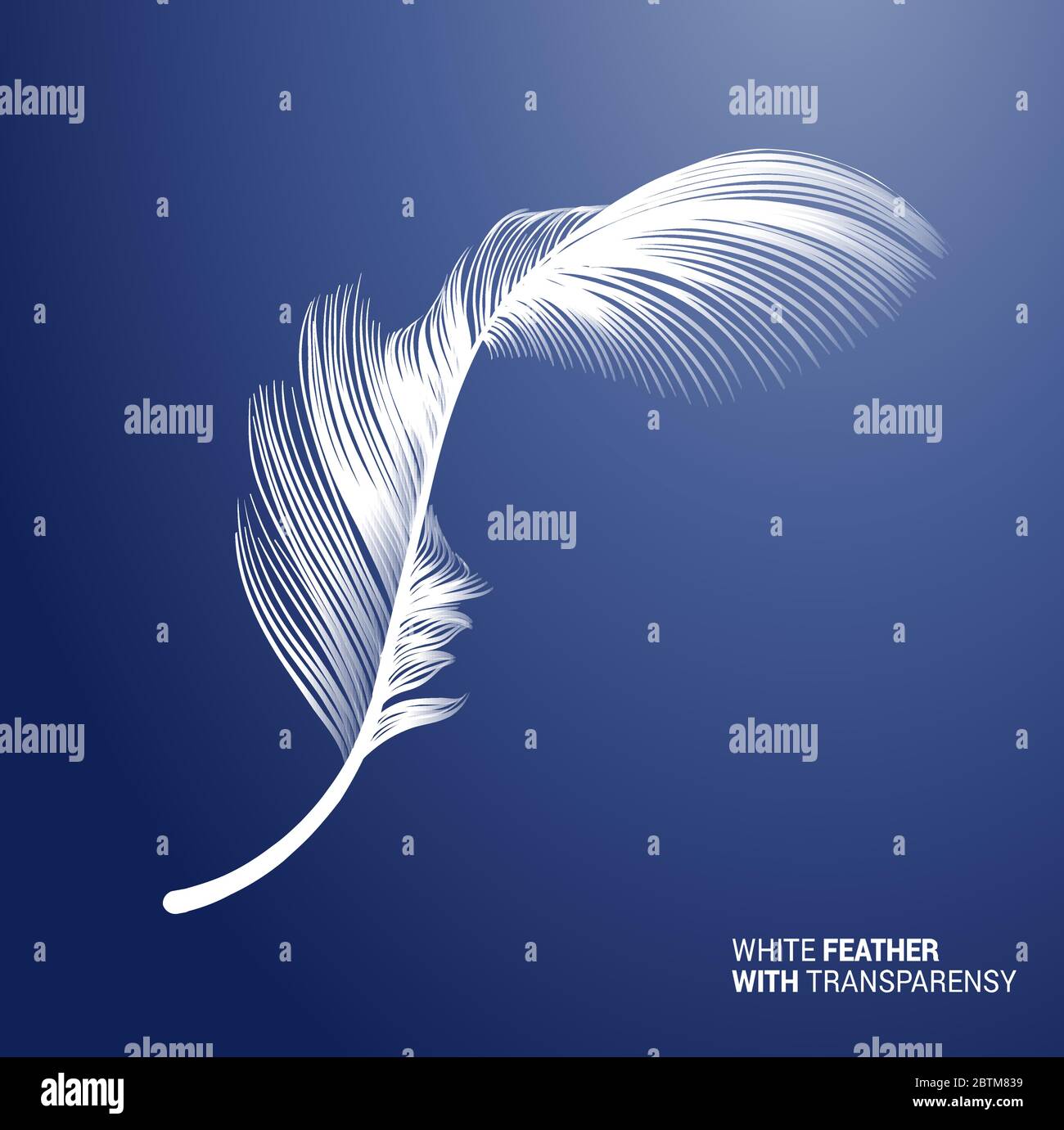 White fluffy feather, vector isolated realistic quill on blue ...