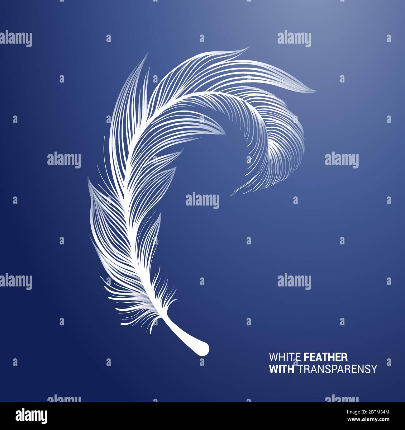 Bird Feather Symbol
