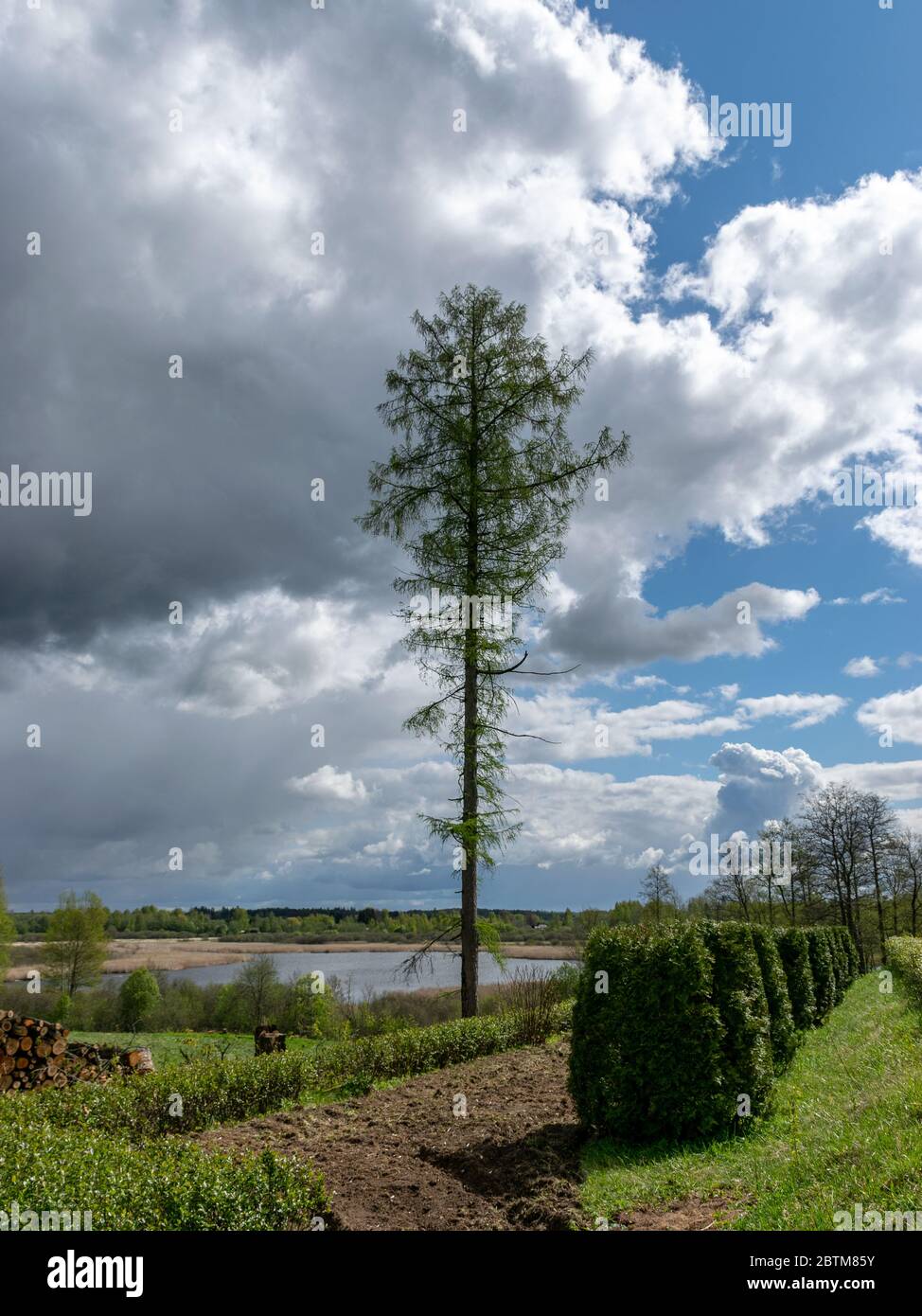 beautiful spring landscape with a river, the first bright spring ...
