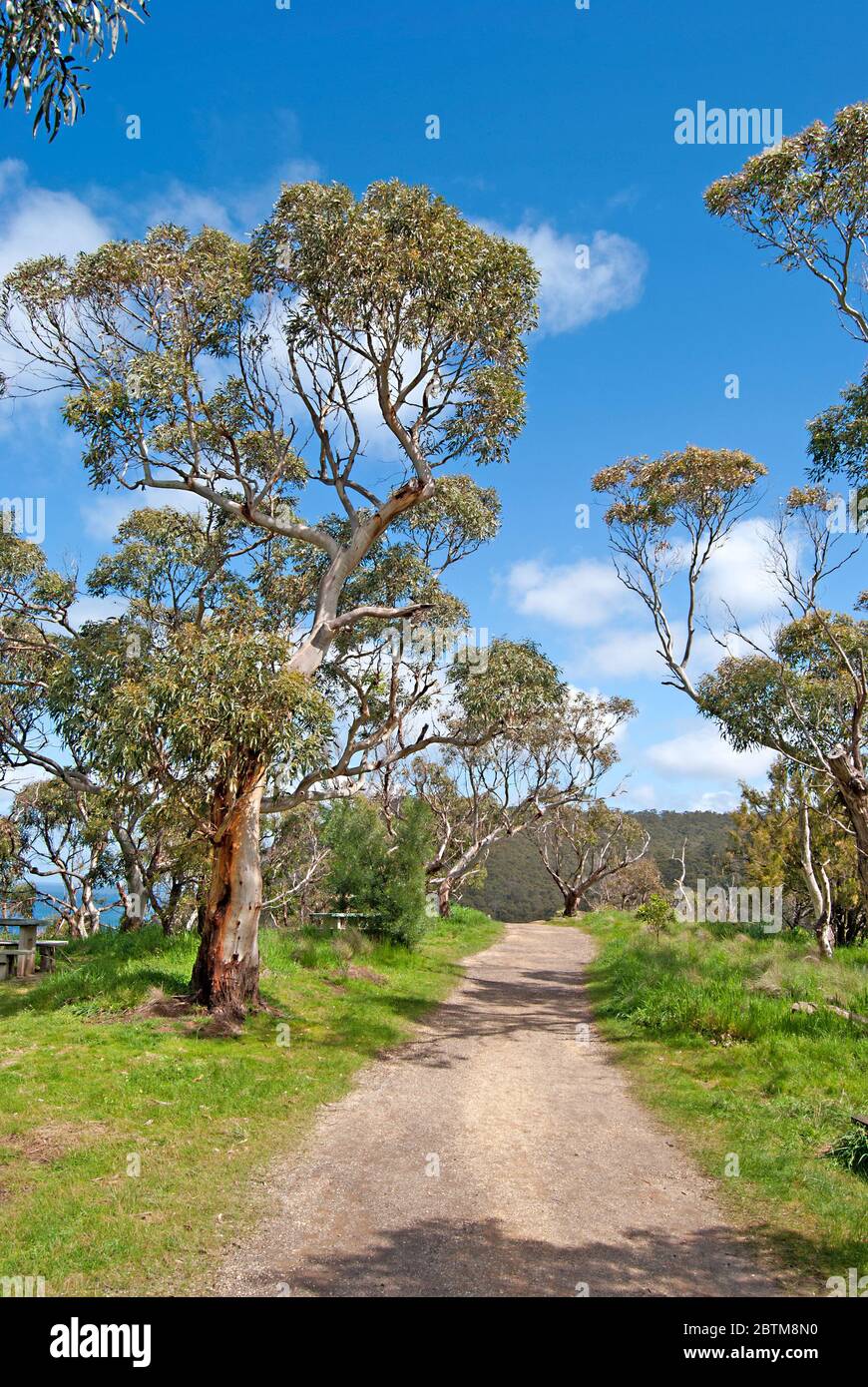 Australian nature trail hi-res stock photography and images - Alamy